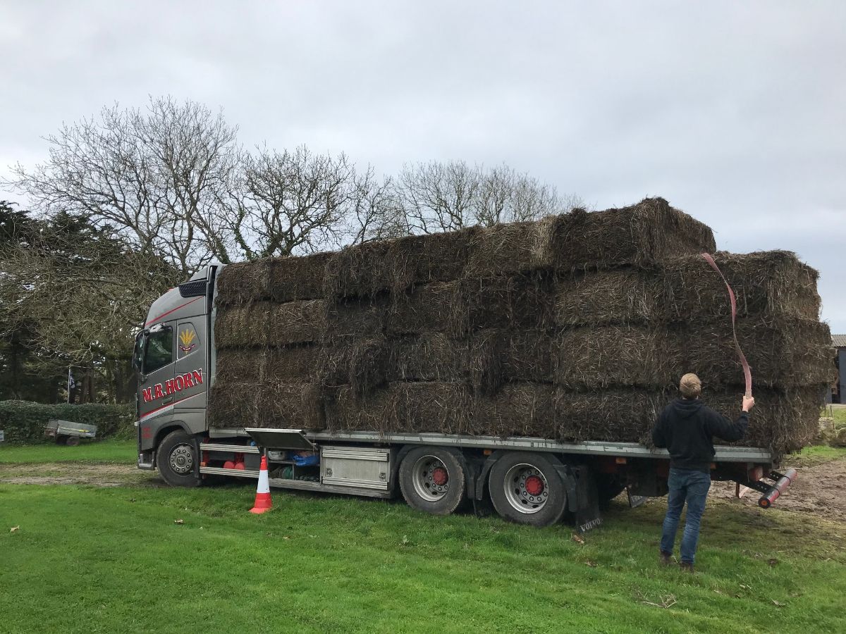 Trelonk Farm Update by Adam - Trelonk Cornwall